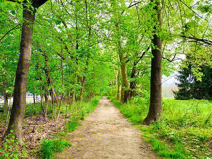 Nature's perfect corridor beckons with a canopy of green. This tranquil trail at Bellevue invites you to leave your worries—and possibly your cell reception—behind.