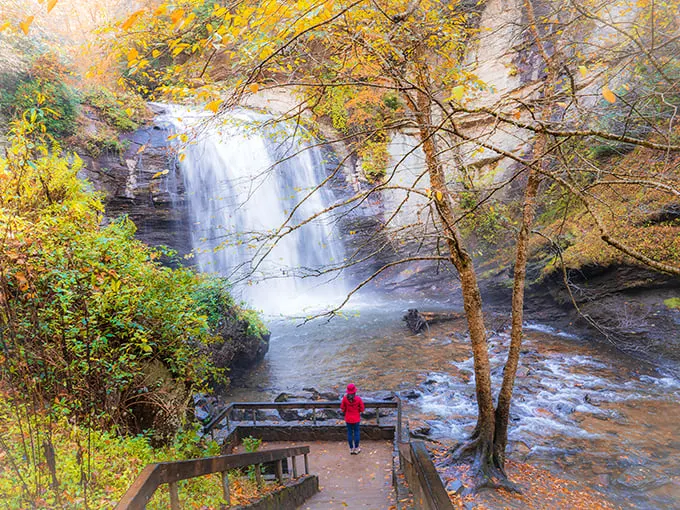 Nature's perfect curtain call – 60 feet of water dramatically plunging over ancient rock faces while somehow maintaining an air of elegant restraint.