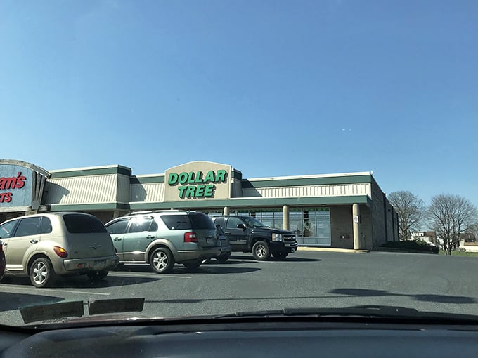 The unassuming facade of Dollar Tree in Lebanon, PA – where bargain hunters find their Shangri-La under those iconic green letters. 