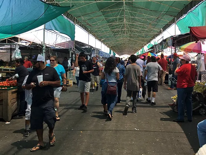 The bustling heart of Stockton's flea market, where green canopies create a microclimate of commerce and the hunt for treasures begins.