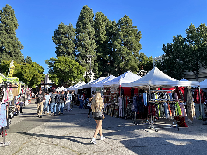 Sunday mornings at Melrose Trading Post transform ordinary parking lots into treasure-hunting paradise for bargain seekers. 