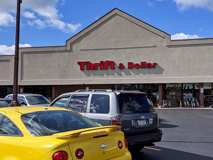 The unassuming storefront belies the wonderland within – like finding Narnia in a strip mall, but with more vintage lamps and fewer talking lions.