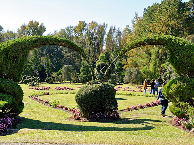 Magnificent living archways frame the garden path like nature's own triumphal entrance. Even the Emerald City couldn't compete with this green wonderland.