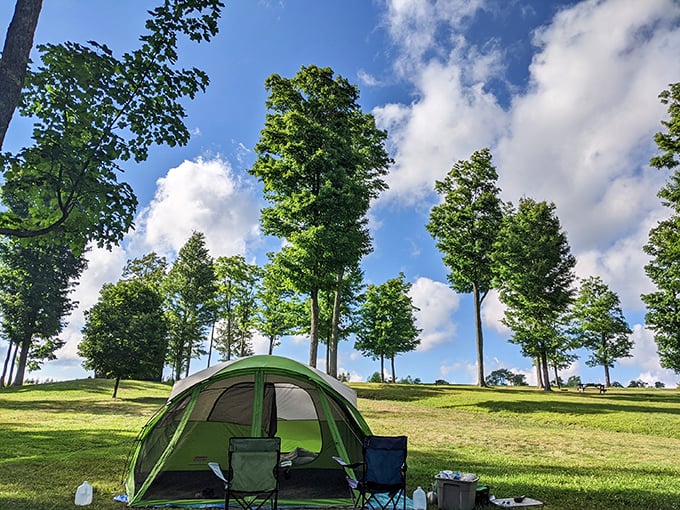 Mother Nature's light show begins at dusk, when RVs settle in and astronomers prepare for the celestial theater that makes Cherry Springs legendary.