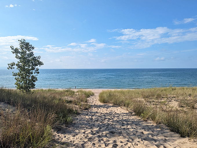 Where lake meets sky in perfect harmony. Indiana Dunes offers the kind of shoreline vista that makes you forget you're in the Midwest and not on some exotic coast.