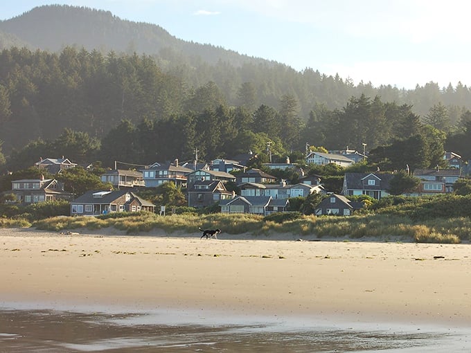 Beach homes nestled between forest and sand, where Manzanita's magic happens. Nature didn't just design this view—it showed off.