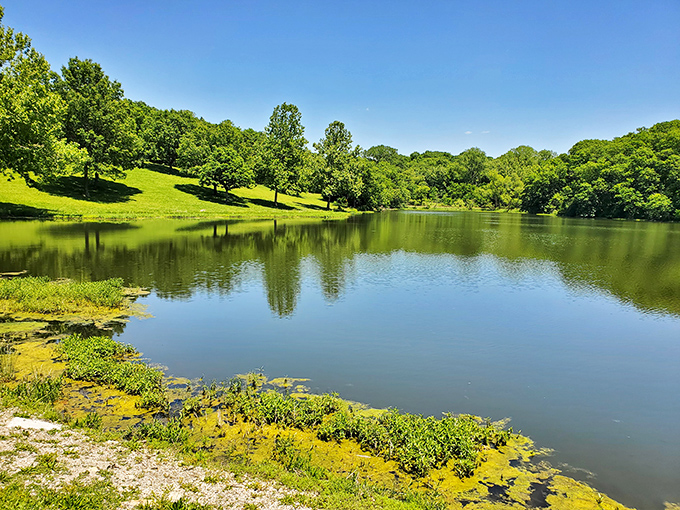 Mirror-like waters reflect a tapestry of green hills—nature's version of a selfie that never needs a filter.
