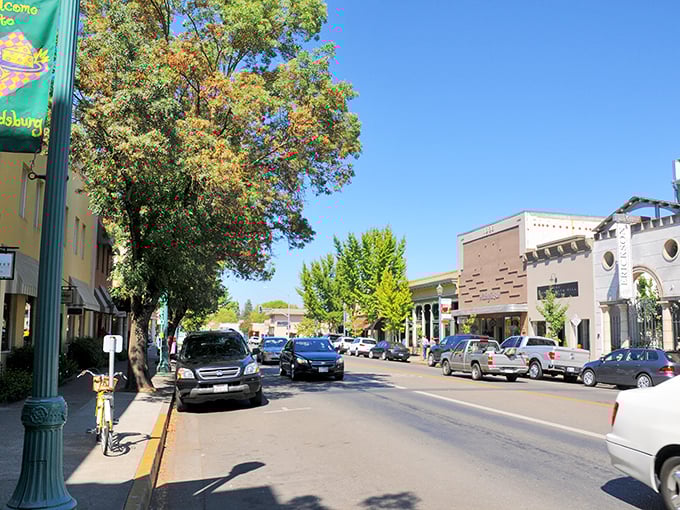 Healdsburg stretches out beneath a perfect California sky, where vineyards meet small-town charm in a landscape that practically begs you to slow down.