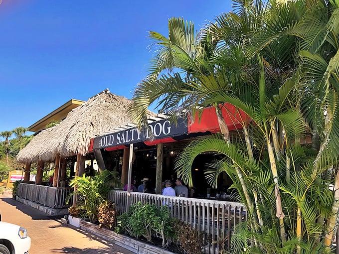 The tropical welcome committee of palm fronds frames the iconic blue and red sign, promising seafood salvation just steps from Siesta Key's powdery shores.