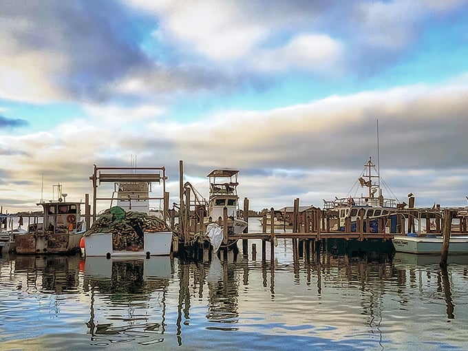 Working fishing boats reflect in glassy waters under dramatic skies. This isn't a postcard—it's Tuesday morning in Cortez, where seafood journeys mere yards from boat to plate.