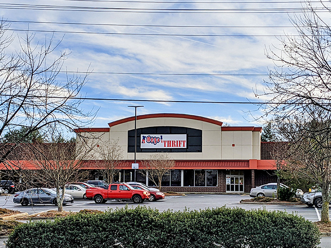 The unassuming exterior of Mega Thrift belies the treasure trove within—like finding out your quiet neighbor was secretly a rock star in the '70s.