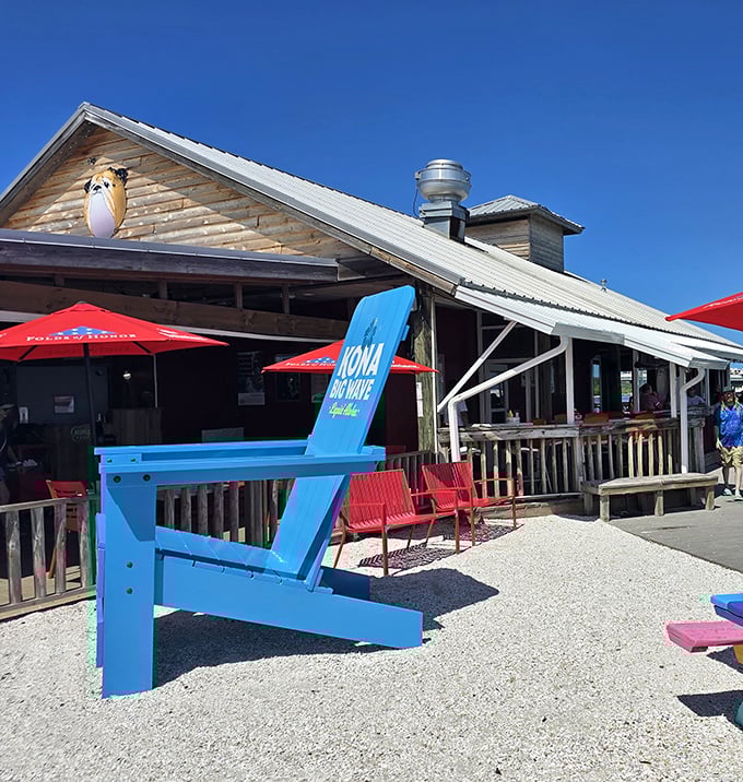 The weathered wooden exterior of The Old Salty Dog stands like a salty sea captain against Florida's brilliant blue sky, promising authentic maritime flavors inside.
