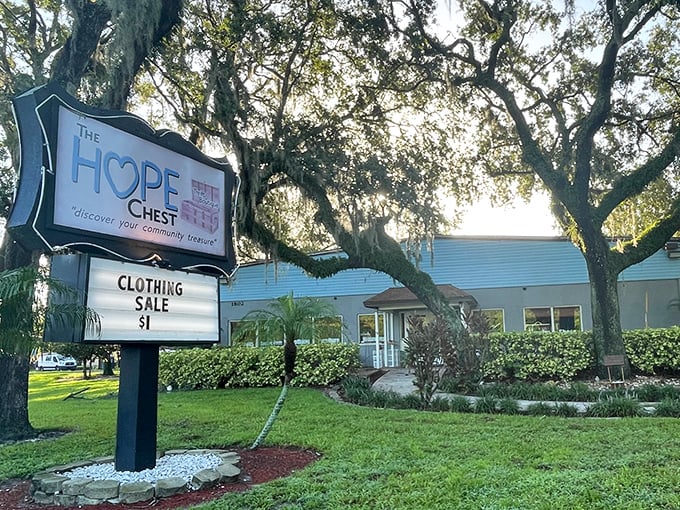 Sunshine dapples through Spanish moss onto The HOPE Chest's inviting entrance. Like finding a $20 bill in last year's winter coat—unexpected joy awaits inside.