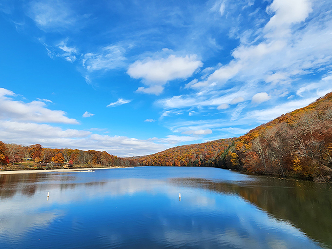 Mirror, mirror on the lake – autumn's fiery palette doubles its splendor on Laurel Hill Lake's glass-like surface. Nature showing off at its finest!