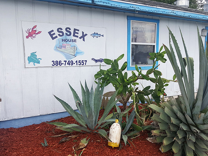 The blue exterior of Essex Seafood House stands like a humble sentinel of seafood excellence, promising treasures far beyond its modest appearance.