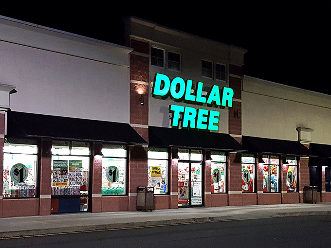 The iconic teal glow of Dollar Tree's sign beckons like a budget-friendly lighthouse, guiding thrifty shoppers to safe harbor in Millsboro.