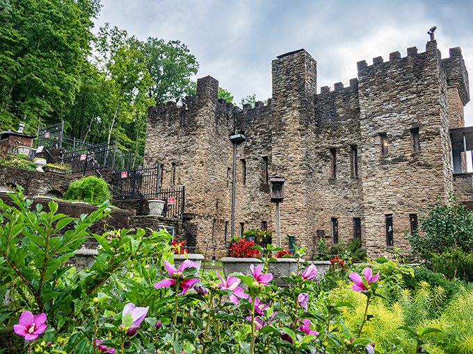 Stone walls that whisper medieval tales while Ohio wildflowers add splashes of pink—proof that knights and nature make excellent neighbors.