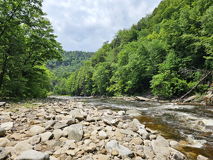 Loyalsock Creek carves its way through the valley like nature's own highway system, minus the road rage and with significantly better views.