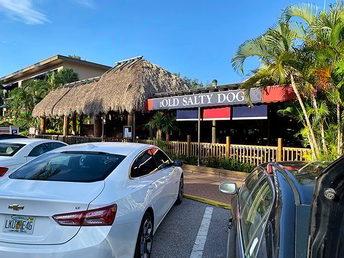 The thatched roof and weathered sign aren't just Florida kitsch—they're promises of the authentic coastal experience waiting inside this Siesta Key institution.
