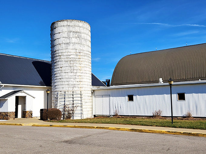 Not just any barn – this iconic white structure with its towering silo stands as a beacon for hungry travelers across Ohio's Amish Country.