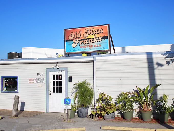 "The Best Sunset In Town" isn't just marketing talk—it's a promise Old Man Frank's delivers on nightly, with nature's show stealing the spotlight from even their legendary shrimp.