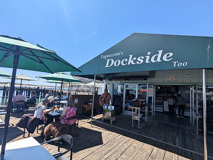 The weathered sign and American flag welcome you to seafood paradise. Morro Bay's best-kept secret sits unassumingly at the water's edge.