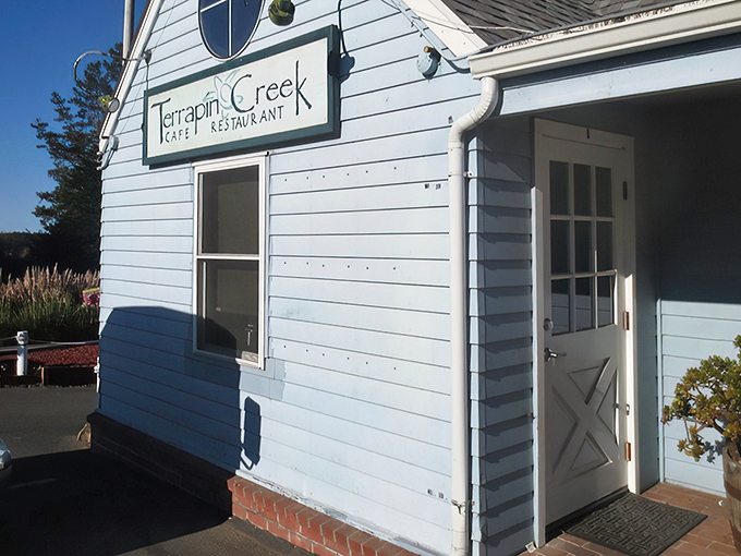 Don't let the humble blue cottage exterior fool you – inside this unassuming seaside building lies culinary magic that will blow your mind.