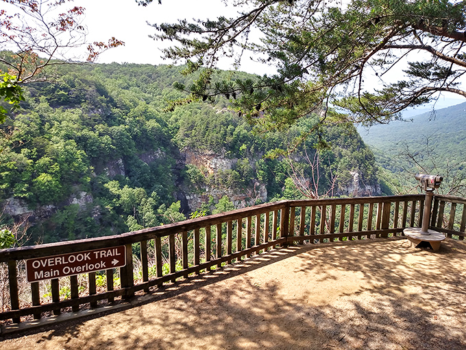 Nature's grand theater unfolds at the main overlook, where a rustic wooden railing is all that stands between you and Georgia's most jaw-dropping canyon vista.