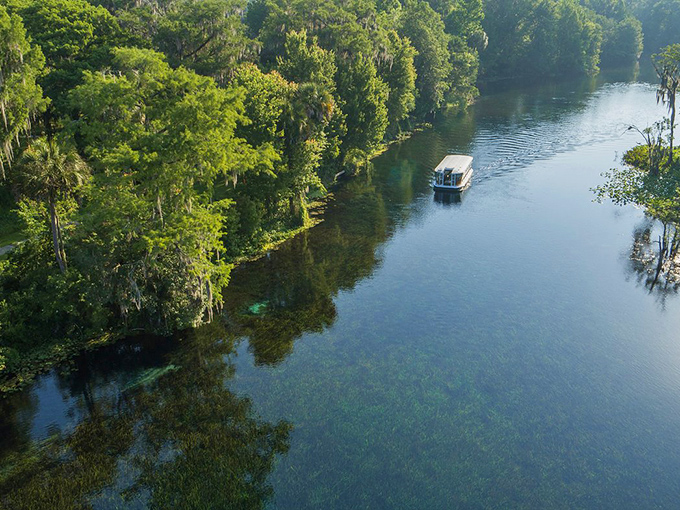 Paddleboarding through Silver Springs feels like gliding across nature's mirror – where the sky meets water and time slows to the perfect vacation pace. 