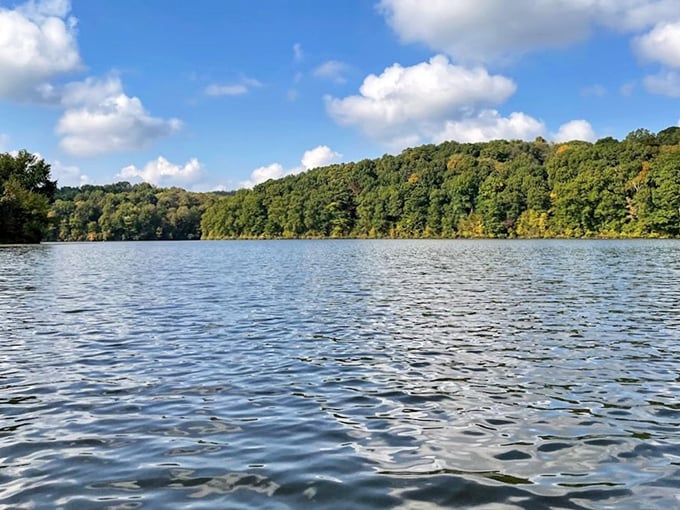 Mirror-like waters reflect Ohio's hidden masterpiece. Salt Fork Lake's tranquil surface invites you to forget your inbox exists and remember what vacation feels like.