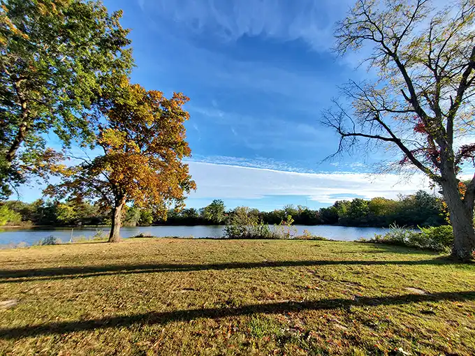Mother Nature showing off her best work at Sangchris Lake. Those fall colors against that impossibly blue Illinois sky? Pure magic without the Instagram filter.