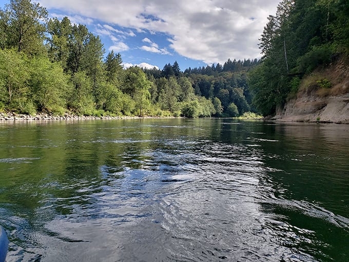 Nature's own private screening room, where the only admission fee is your willingness to slow down.