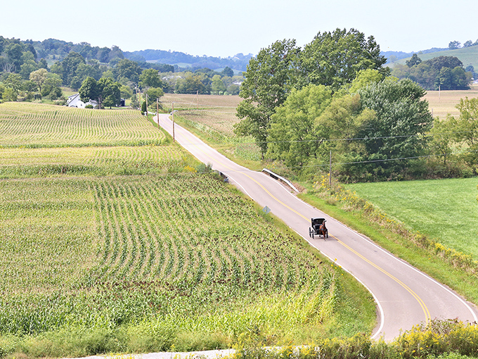 The iconic Amish buggy – where the pace of life is measured in hoofbeats rather than horsepower. A reminder that sometimes the scenic route is the only one worth taking.