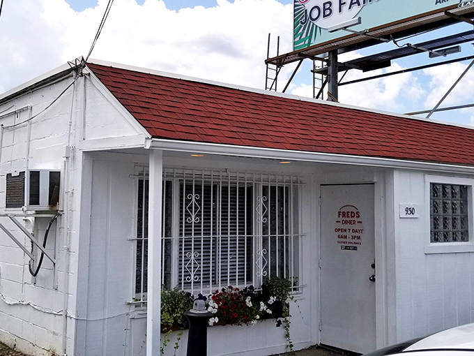 The unassuming white exterior of Fred's Diner stands like a culinary time capsule, promising authentic flavors that no fancy façade could ever improve upon.