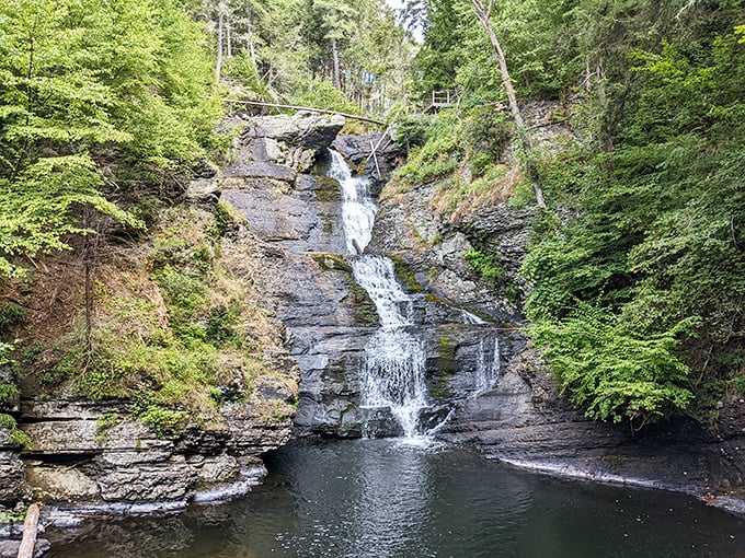 Nature's three-tiered masterpiece puts on a show that makes Niagara Falls look like it's trying too hard. Pennsylvania's tallest waterfall doesn't need a passport.