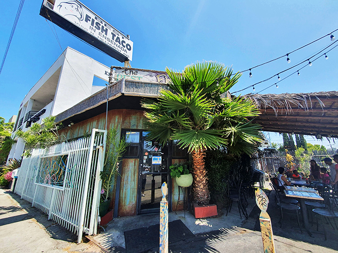 The weathered turquoise exterior isn't trying to impress anyone—it's saving all its energy for what happens inside those doors. Beach shack vibes in the heart of Los Feliz.