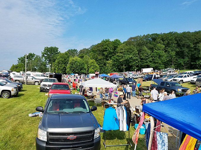 Sunshine, shoppers, and hidden gems—Armada Flea Market is buzzing with energy and endless finds in a scenic outdoor setting!
