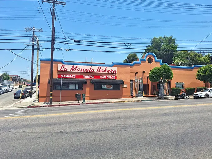 The salmon-colored exterior with bright blue trim isn't just a building—it's a beacon of culinary promise that's drawn tamale enthusiasts for generations.