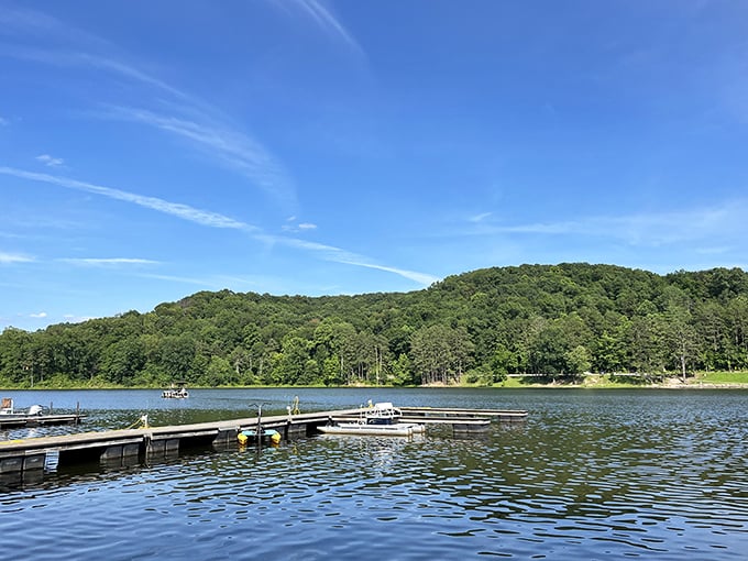 Wooden docks stretch into crystal-clear waters while forested hills stand guard. Mother Nature showing off her best side without even trying.