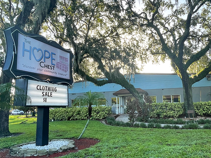 Sunshine dapples through Spanish moss onto The HOPE Chest's inviting entrance. Like finding a $20 bill in last year's winter coat—unexpected joy awaits inside.