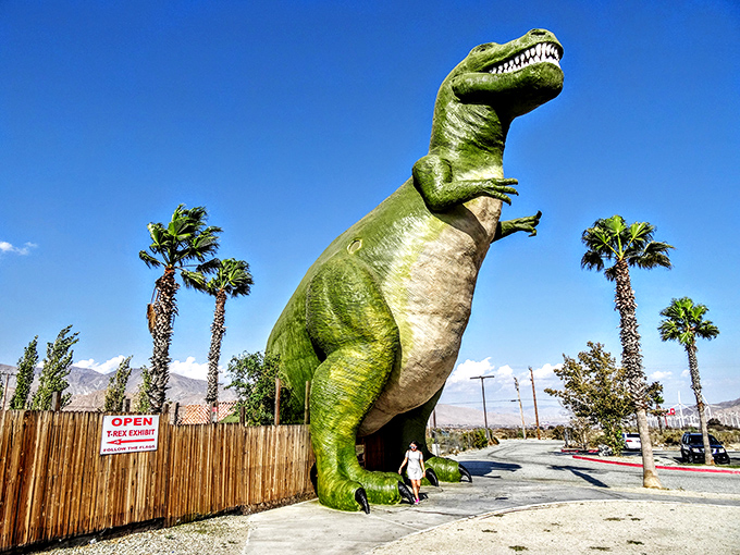 Meet the star of the show – this towering T-Rex makes every visitor feel wonderfully small.