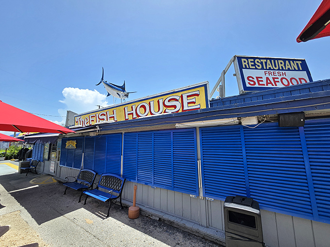 The blue roadside shack with a giant marlin mounted above screams "authentic Florida seafood" before you even taste a bite.