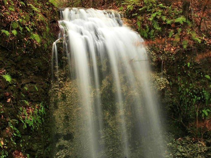 Nature's magic show in full swing – Florida's tallest waterfall cascades 73 feet into a mysterious limestone sinkhole, disappearing like a magician's best trick.