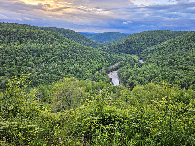 Loyalsock Creek carves its way through the valley like nature's own highway system, minus the road rage and with significantly better views.