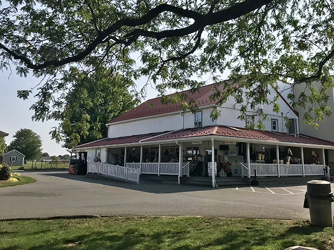 The classic white farmhouse with red roof isn't just Instagram-worthy—it's a beacon of buttery hope for carb enthusiasts across Pennsylvania.