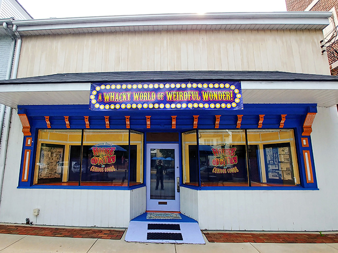 The cheerful blue facade of this Elizabethtown odditorium belies the delightfully disturbing wonders waiting inside. Small-town charm meets macabre curiosity.