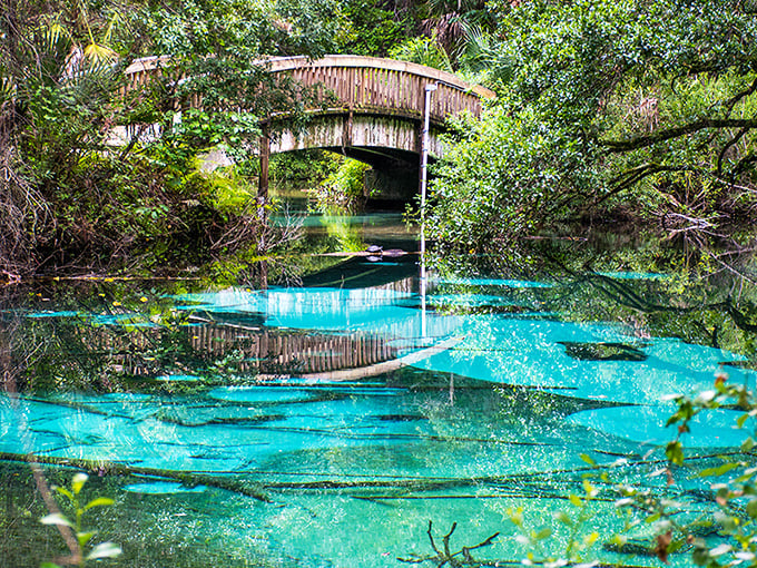 Nature's mirror at its finest — Juniper Springs’ crystal-clear waters perfectly reflect a charming wooden footbridge and lush greenery in a scene so surreal, it looks like a dream.