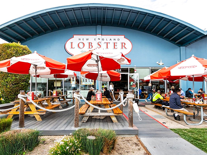The bright blue facade with those cherry-red umbrellas is like a coastal siren song, beckoning seafood lovers to drop anchor and feast.