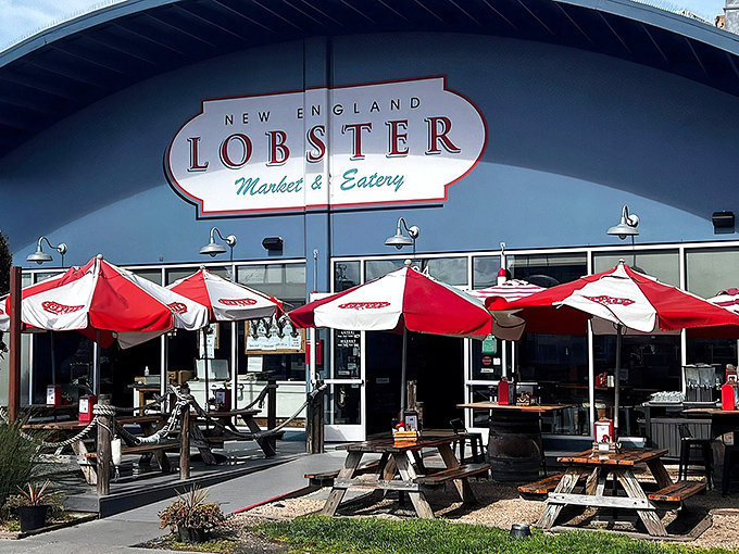 The blue building with vibrant red umbrellas isn't trying to be subtle – it's proudly announcing that your lobster fantasies are about to come true.