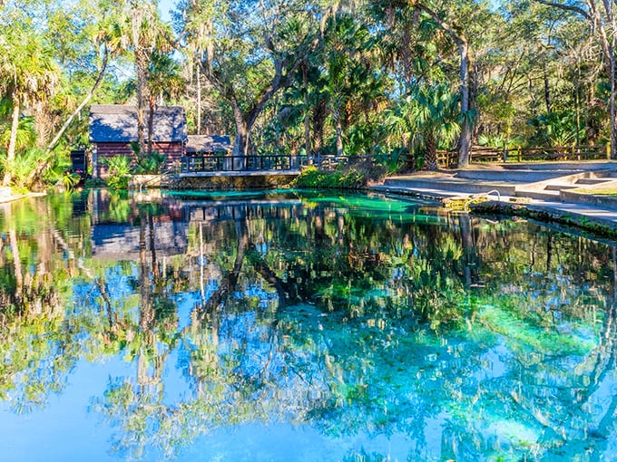 Crystal-clear waters that make your swimming pool look like muddy dishwater by comparison.